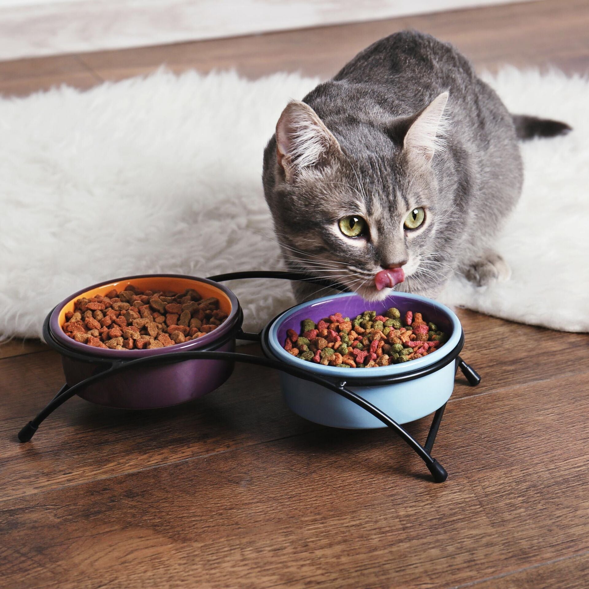 Bowl – Furry-Friends Store